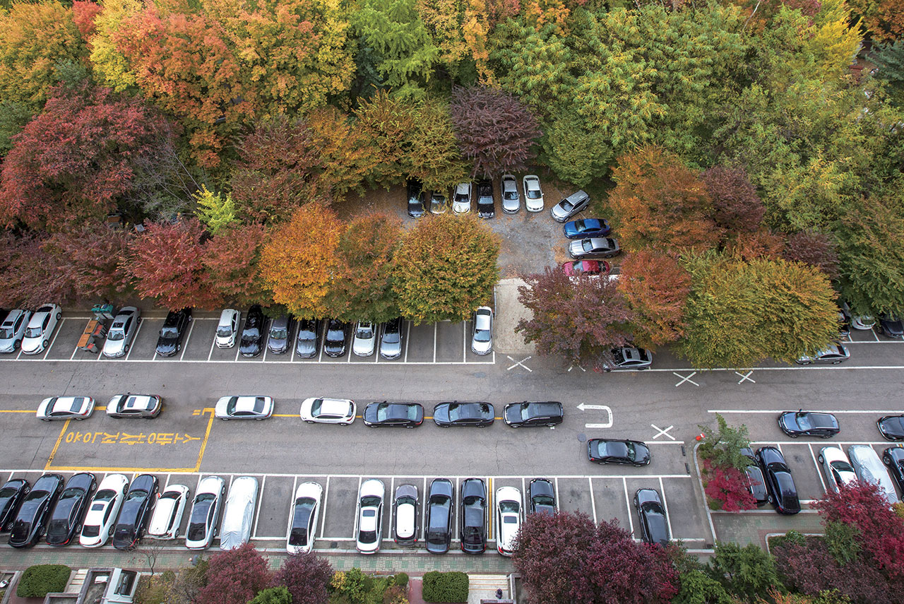 교통안전리포트 : 신호등 2022년 11월호