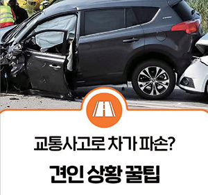 KoROAD 소통 : 신호등 2022년 11월호